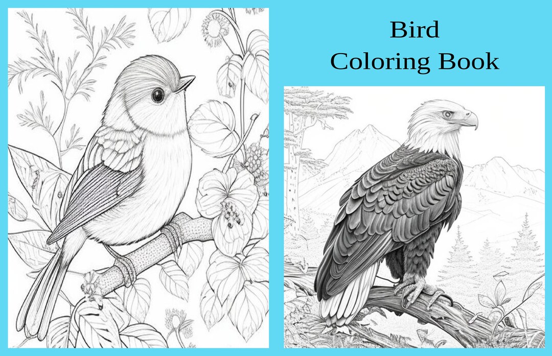 Bird Coloring Book - Etsy