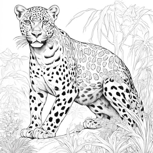 Big Cats Coloring Book - Etsy