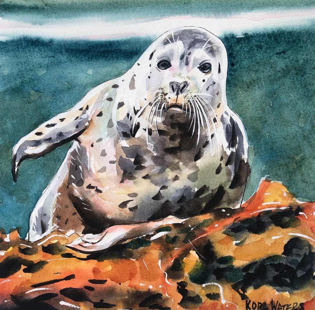 Sweet Seal Watercolor - Original - Etsy