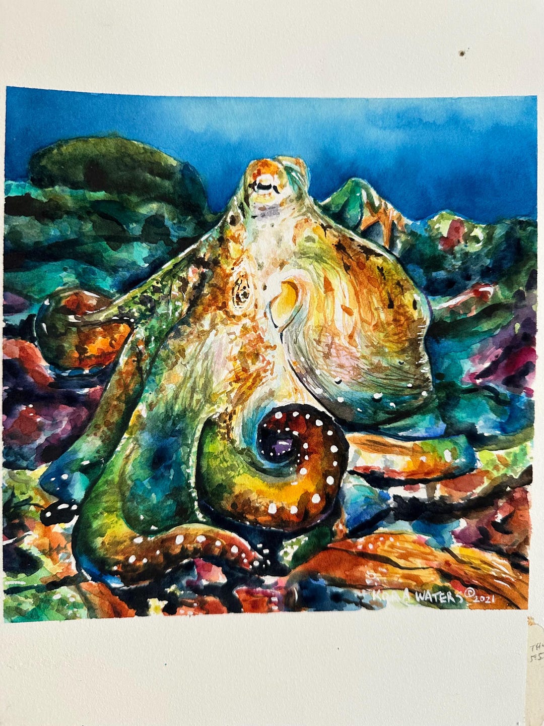 Octopus Watercolor - Original - Etsy