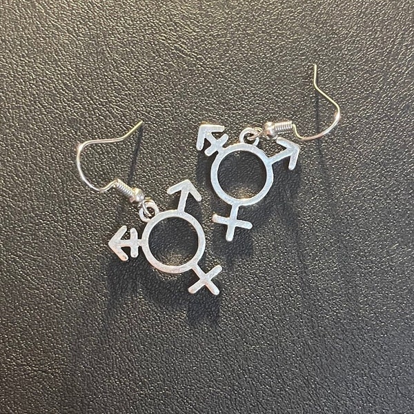 Trans Pride Earrings - Etsy