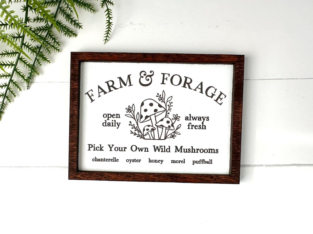 Wood Framed Miniature Sign | Farmhouse Type | Tiered Tray Décor ...