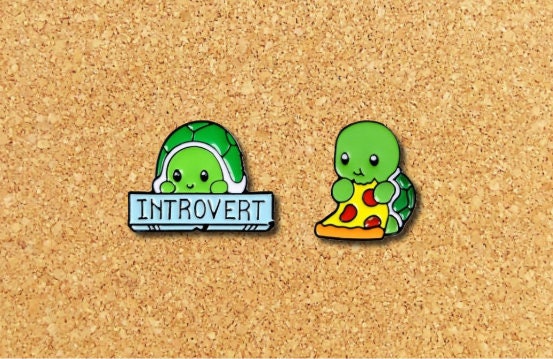 Two Turtles Pins X2 Cute Enamel Pins - Etsy