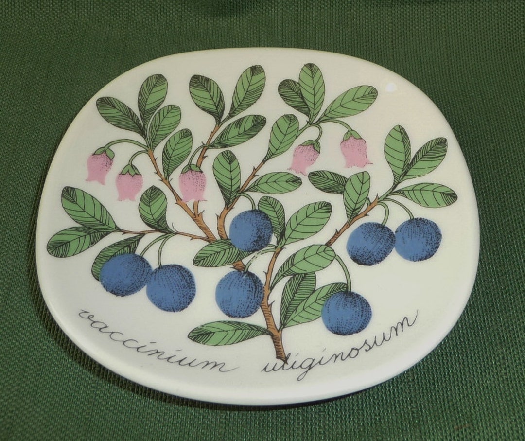 Arabia Finland Esteri Tomula Botanica Vaccinium Utiginosum Juolukka ...