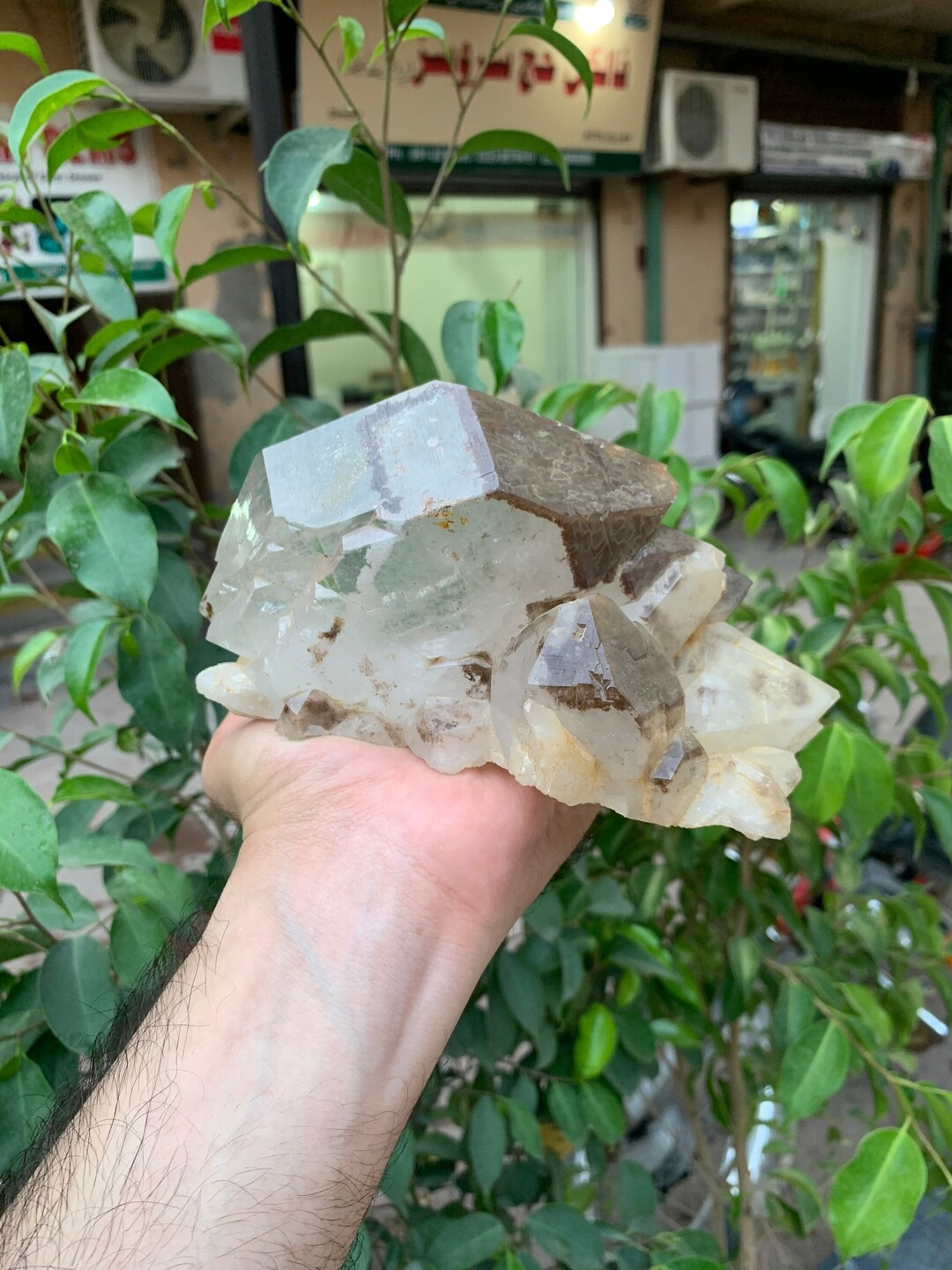 1440 Gram Gwindel Quartz Crystal,exceptional Large Gwindle Quartz ...
