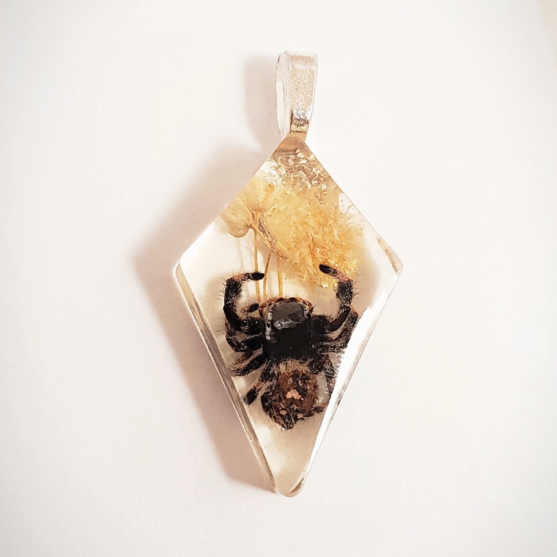 Custom Insect Keepsake Insects in Resin Put Your Bug in | Etsy