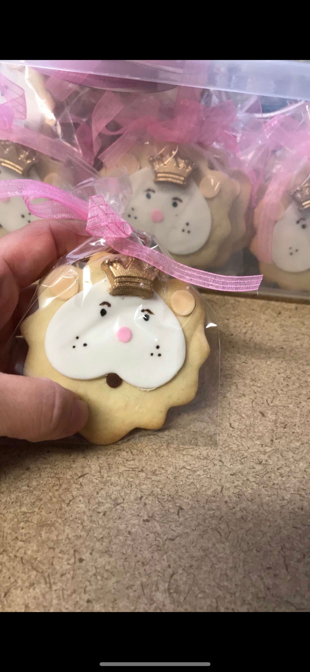 Lion Sugar Cookies - Etsy