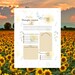 Sunflower Daily Printable Download Sheet, Reflection Sheet, Day Sheet ...