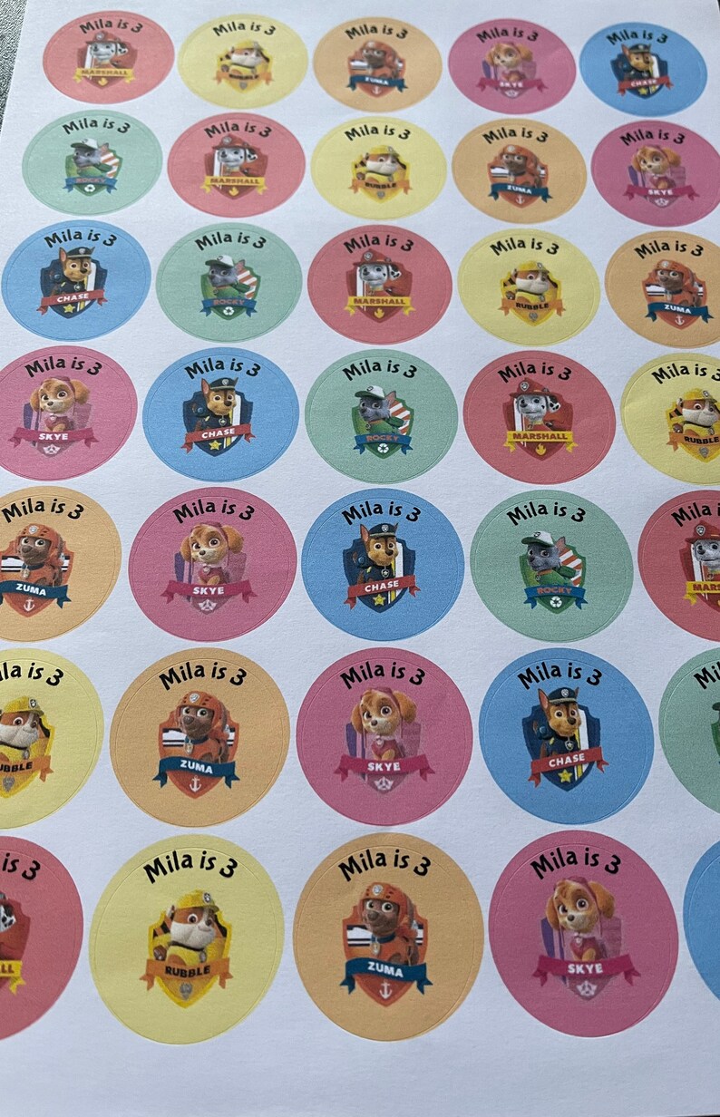 Birthday Favour Stickers Paw Patrol - Etsy