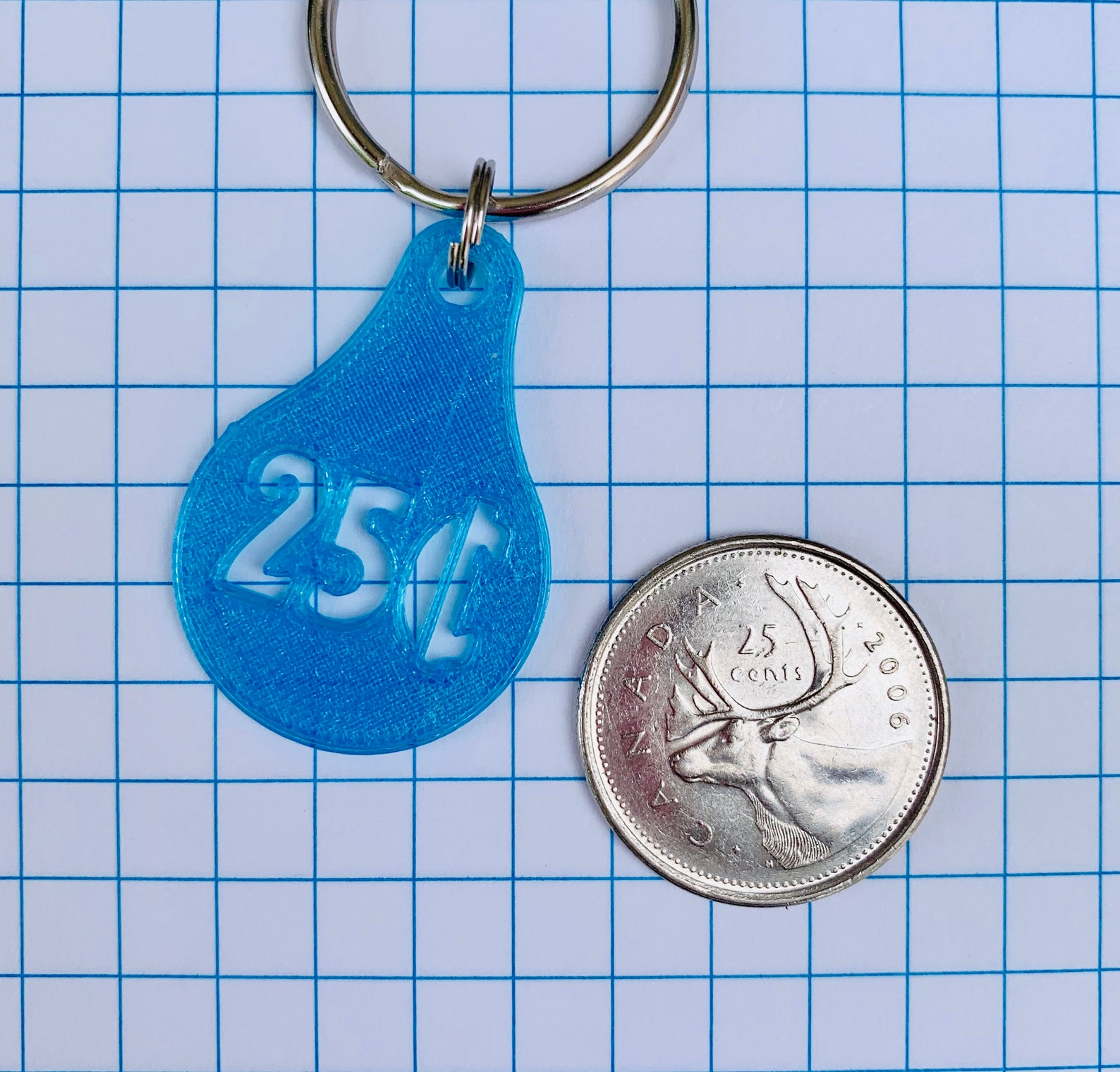 Shopping Cart Coin Keychain Cart Coin Shopping Cart | Etsy