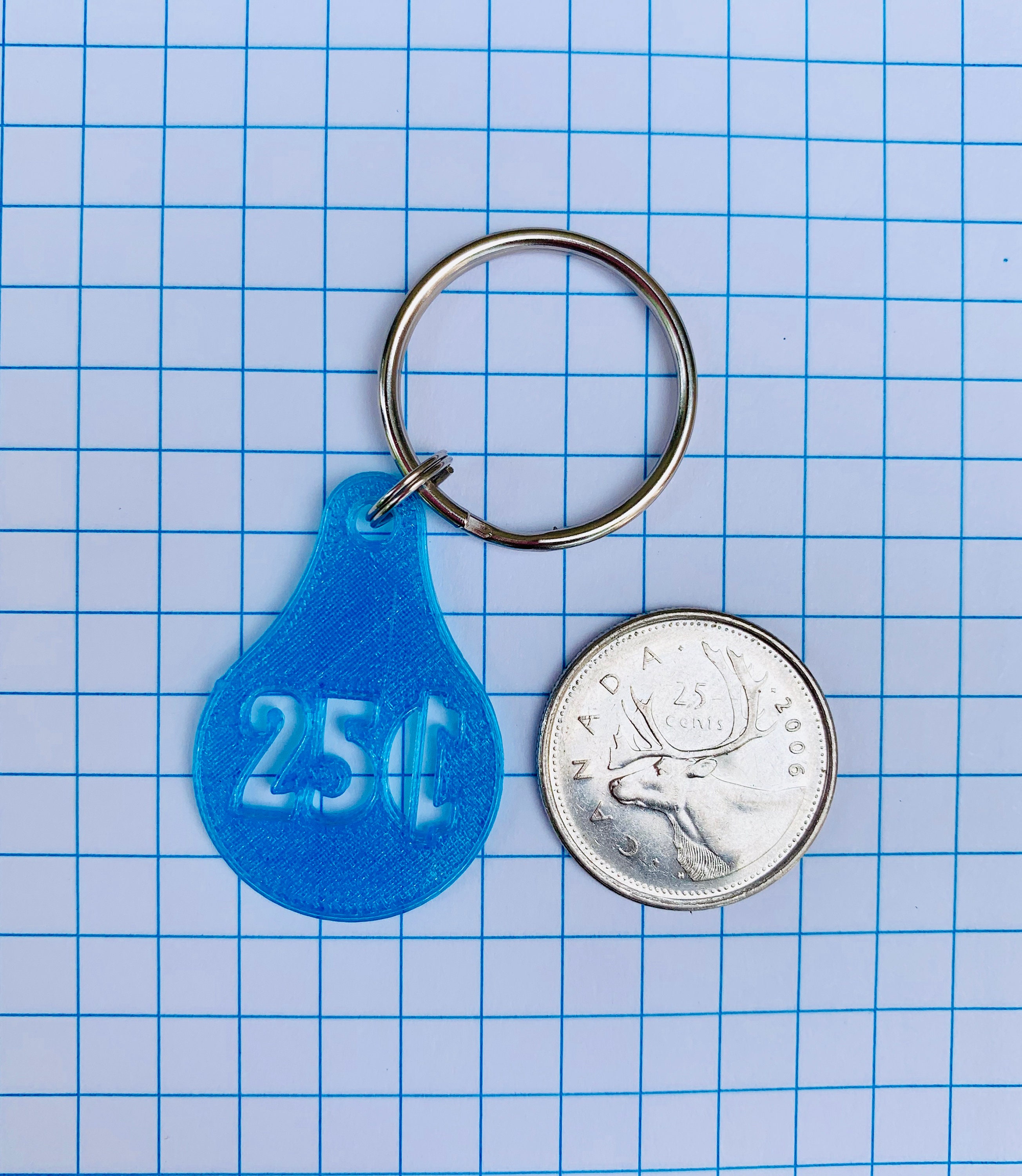 Shopping Cart Coin Keychain Cart Coin Shopping Cart - Etsy Canada