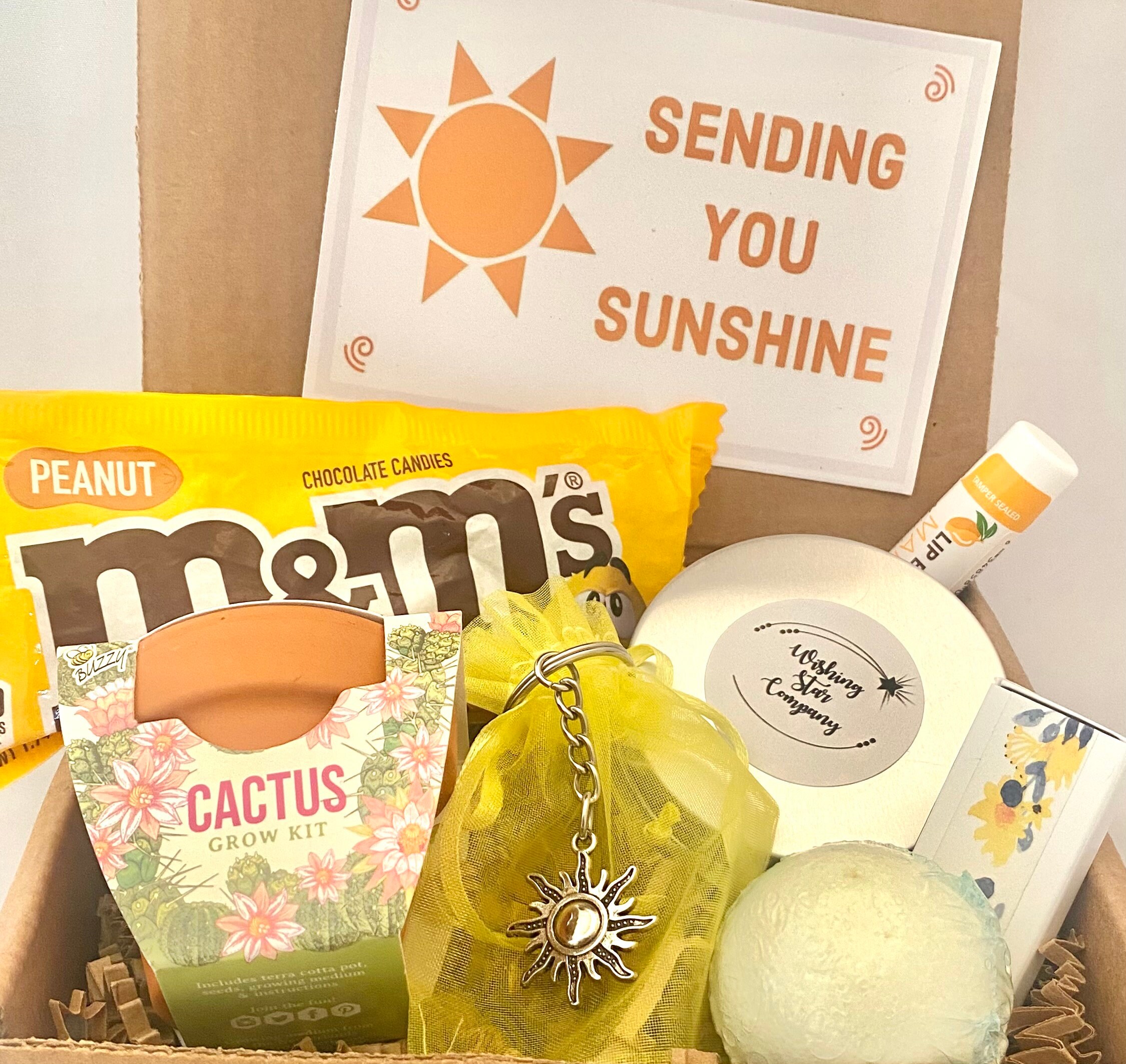 SENDING YOU SUNSHINE / Care Package / Thinking of You / Just Because ...