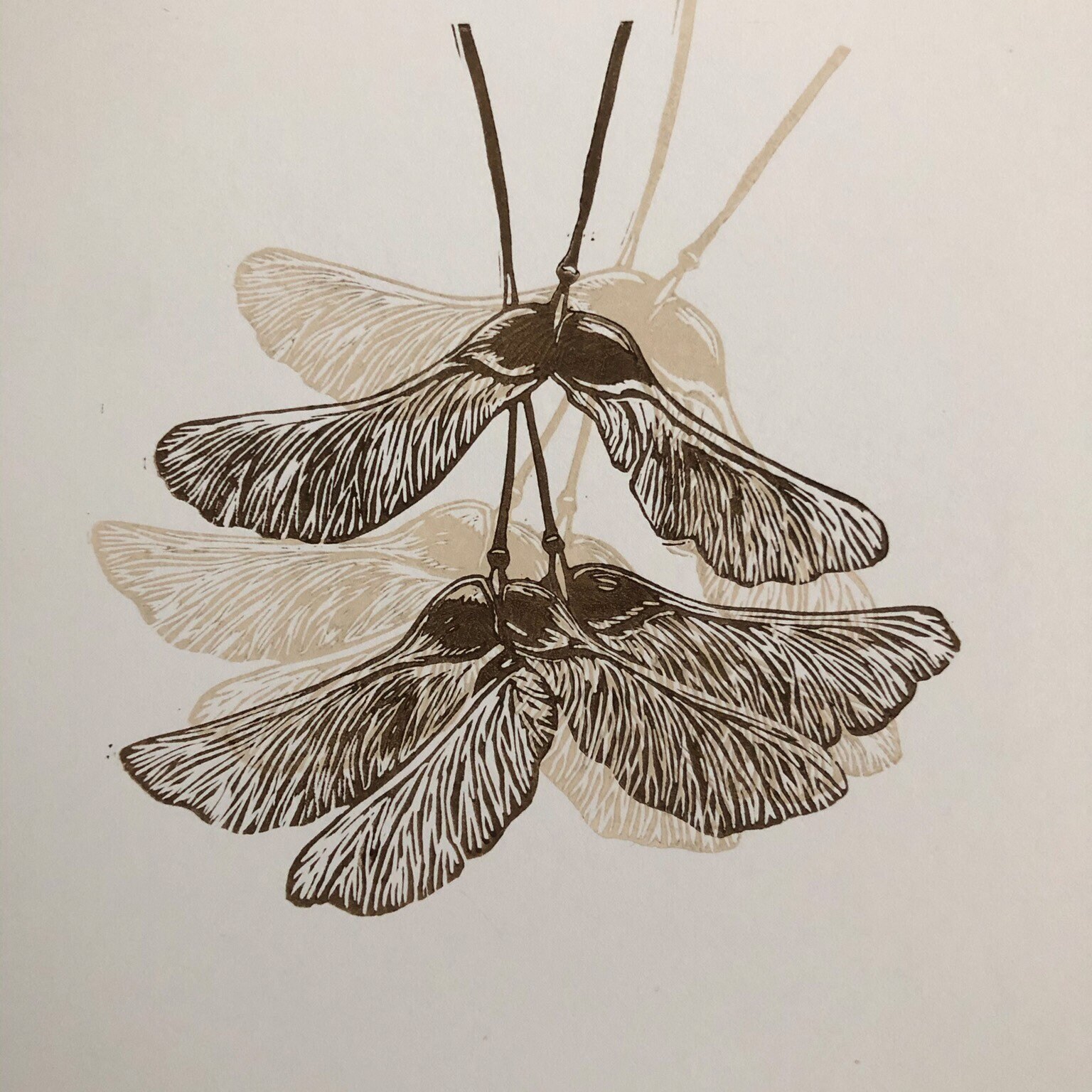 Sycamore Keys Original Linocut Greetings Card. Brown & Beige - Etsy