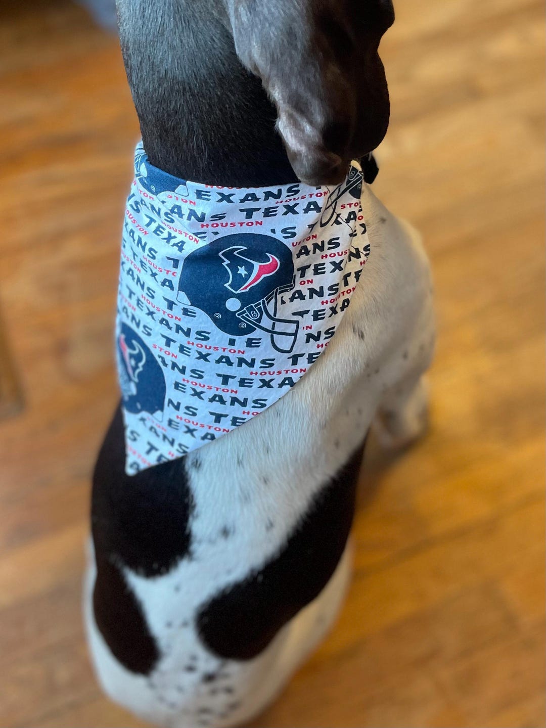 Houston Texans Dog Scarf- Personalized- Texans Dog Bandana- NFL ...