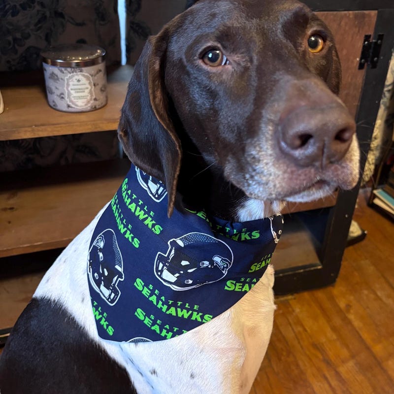 Seahawks Dog Clothing - Etsy