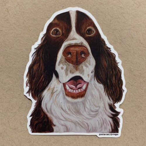 English Springer Spaniel Art Sticker Dog Vinyl Decal Sticker - Etsy