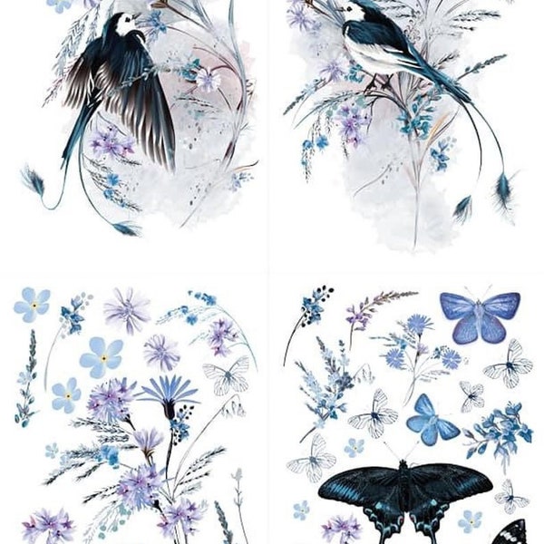 Bird Transfer - Etsy