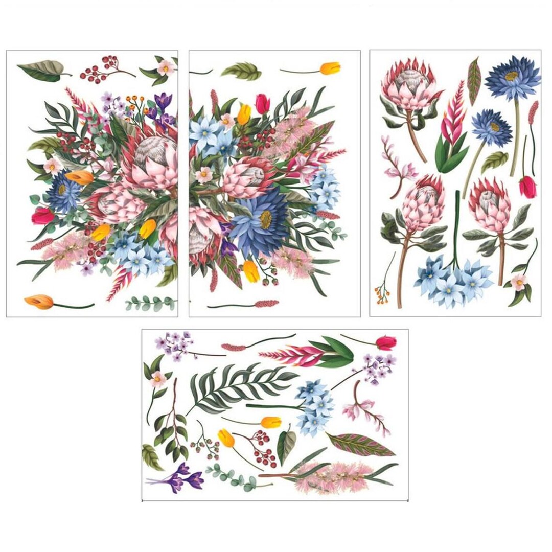 KING PROTEA Transfer | Belles and Whistles | Dixie Belle | Furniture ...
