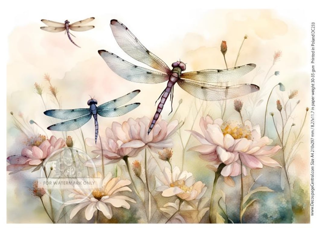 DRAGONFLY FIELDS | A4 Rice Paper | Decoupage Paper | Decoupage Central ...