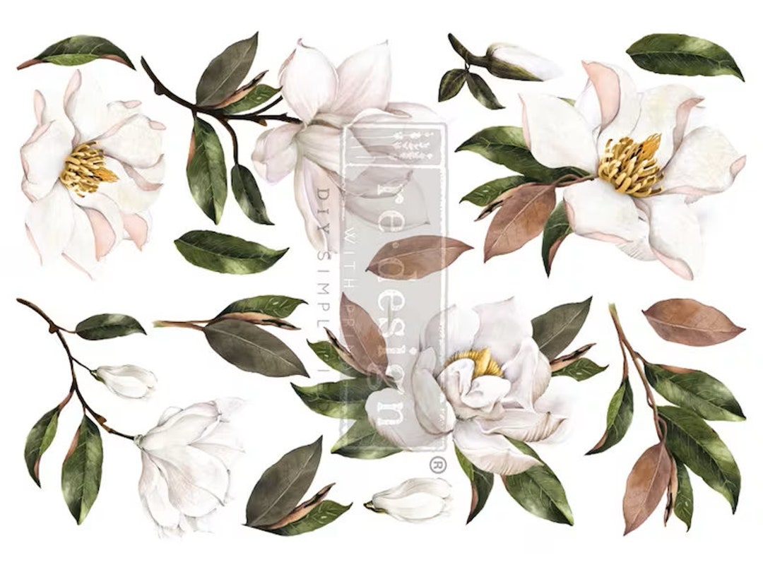 MAGNOLIA GRANDIFLORA, Rub on Transfers for Furniture, Furniture Decals ...