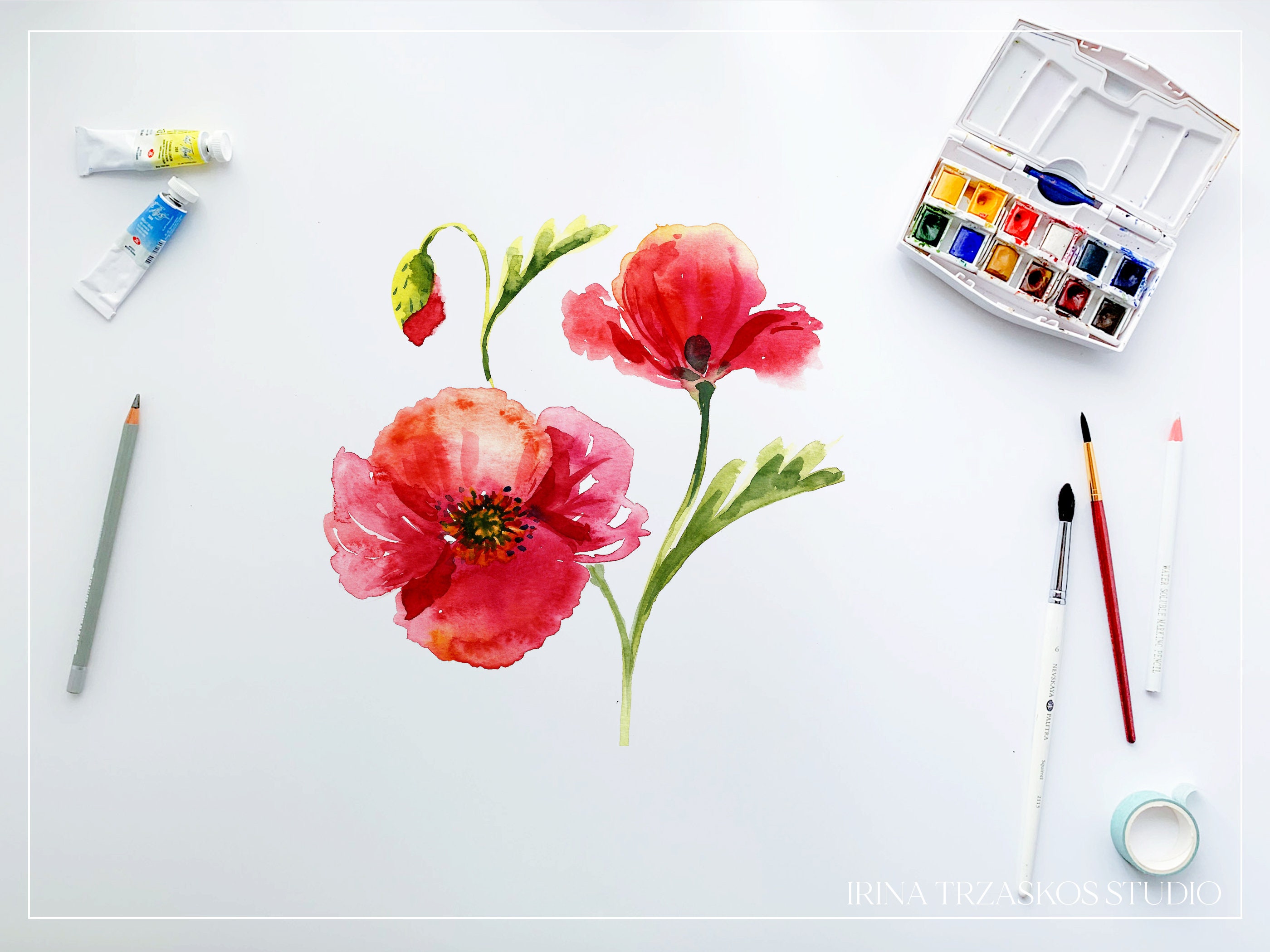 Poppy Watercolor Flowers Beginner Painting Tutorial, Step by Step ...