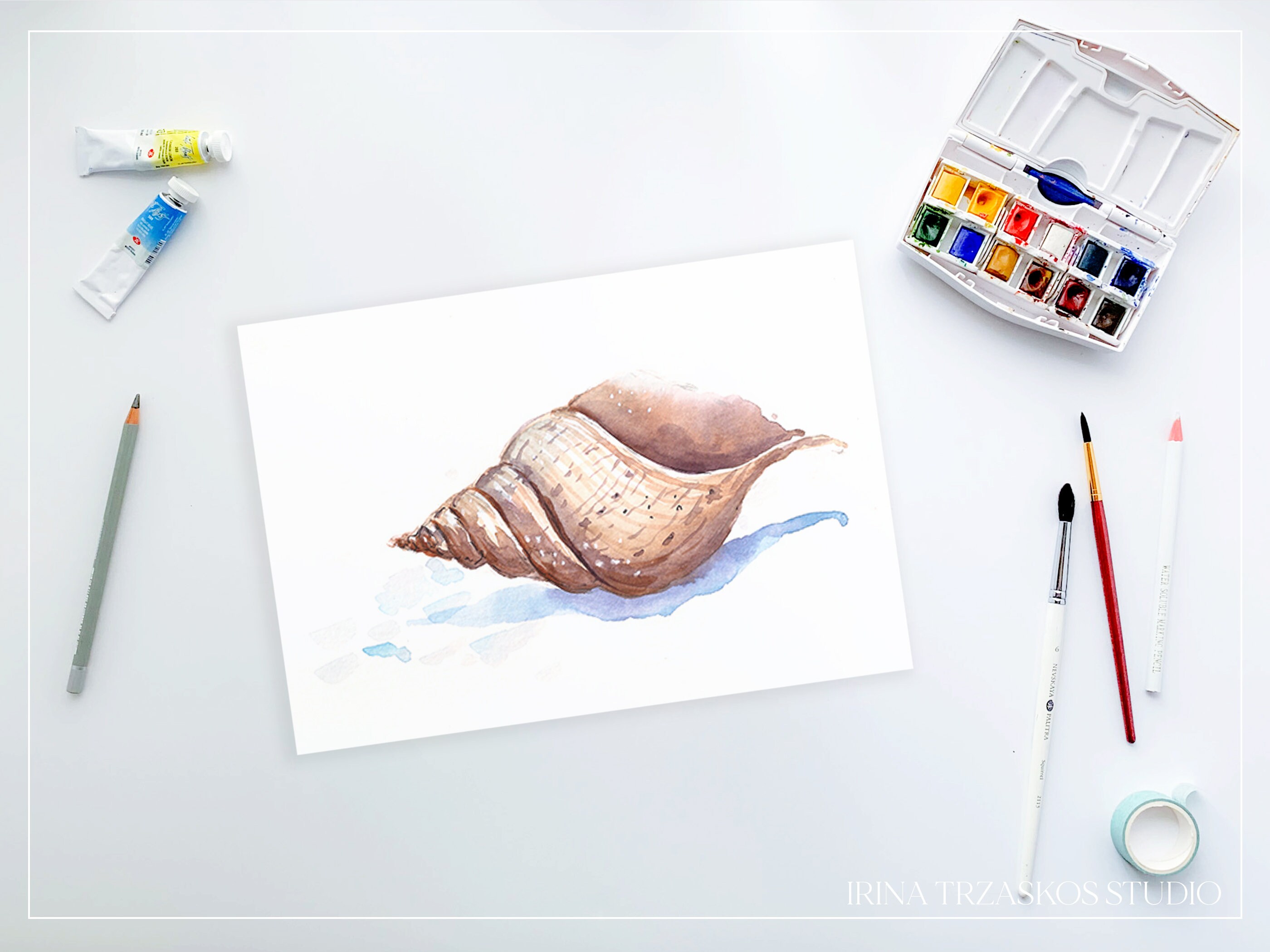Seashell - Watercolor Tutorial for Beginners, DIY Artwork for Wall Art ...