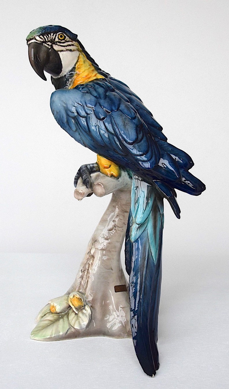Mid Century Italian Tay "giuseppe Tagliariol" Ceramic "macaw" Parrot ...