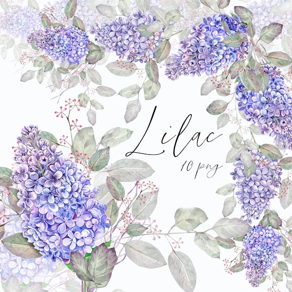 Watercolor Lilac Wreath, Blue Flower, Lilac Color, Floral Frame ...