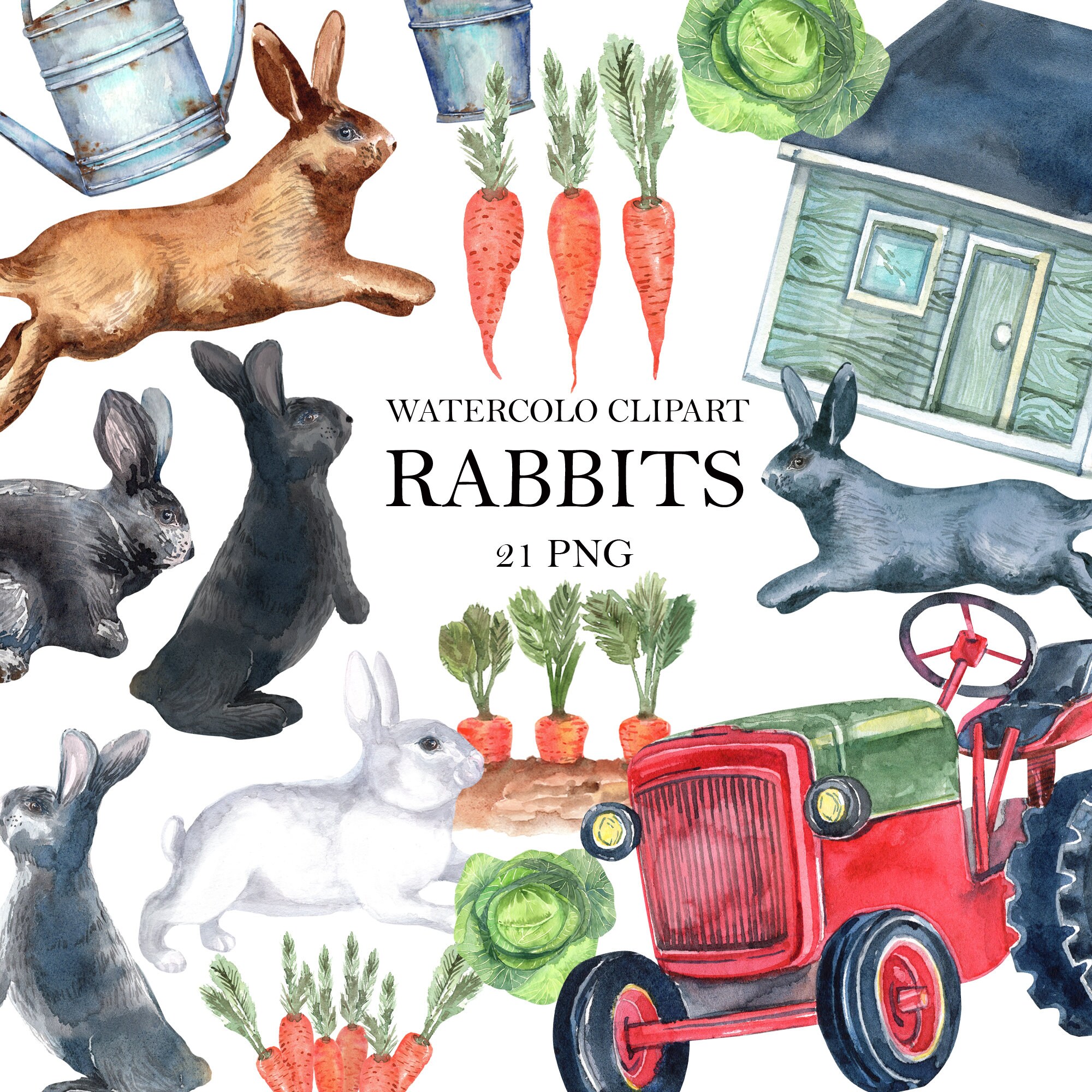 Watercolor Rabbit Farm Clipart, Cute Banny, Karrot, Tractor, Farm ...
