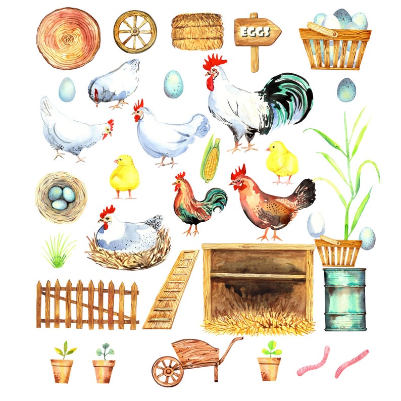 Watercolor Chickens Clipart Farm Animals Clip Art Rooster - Etsy