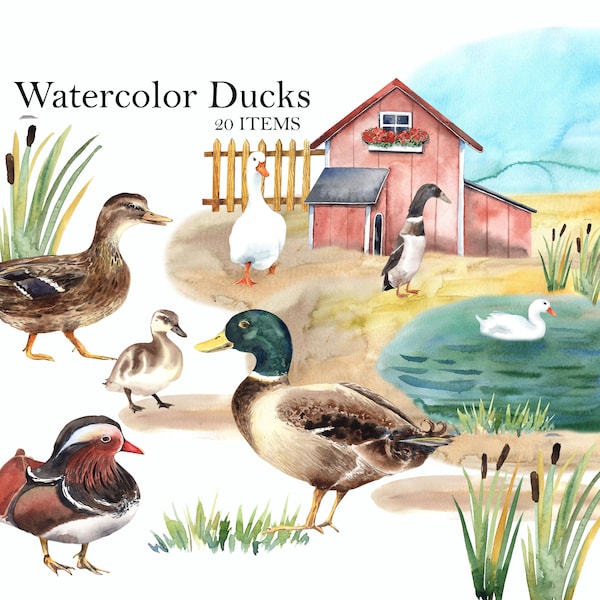 Watercolor Mallard Ducks Clipart - Etsy