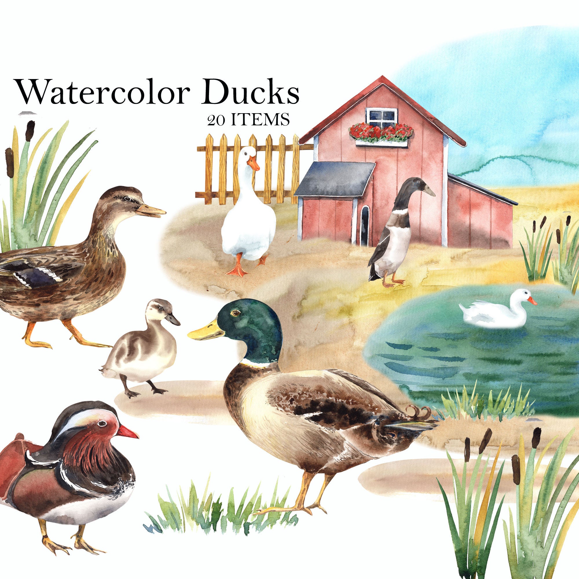 Ducks In A Pond Clipart Border