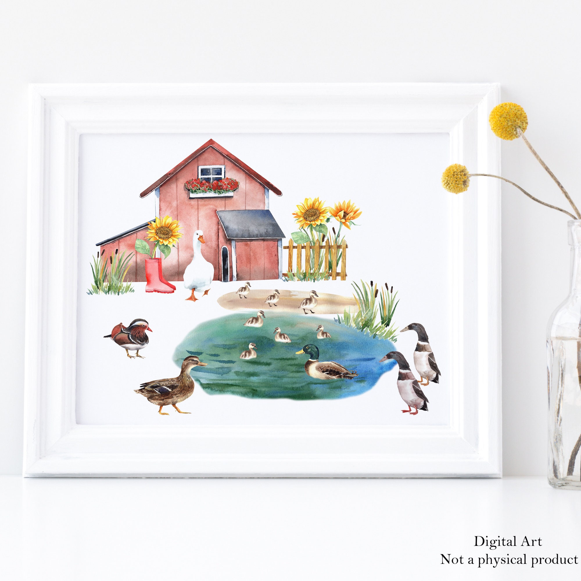 Watercolor Wild Ducks Clipart, Duck Pond, Farm Animals, American Pekin ...