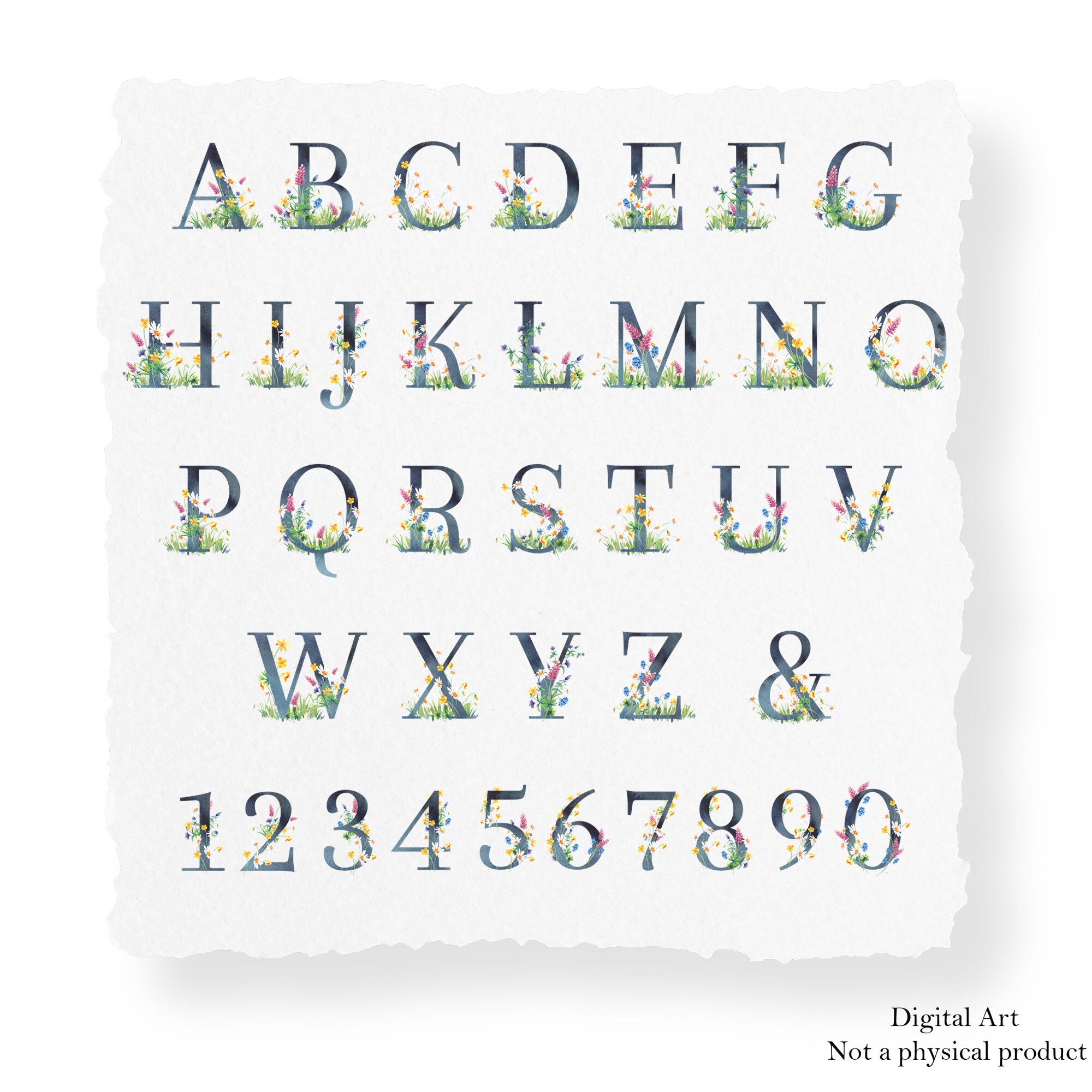 Watercolor Wildflower Alphabet, Letter, Number, Daisy, White Pink Blue ...