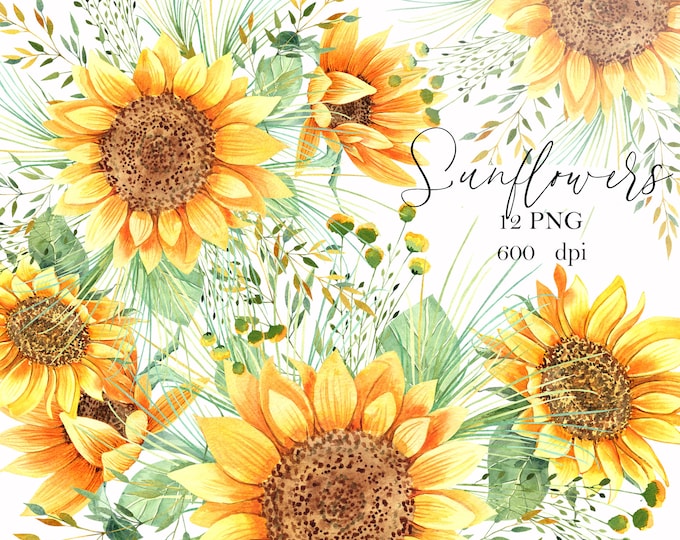 Sunflower Clipart Watercolor Rustic Flowers Png Bouquet Clipart ...