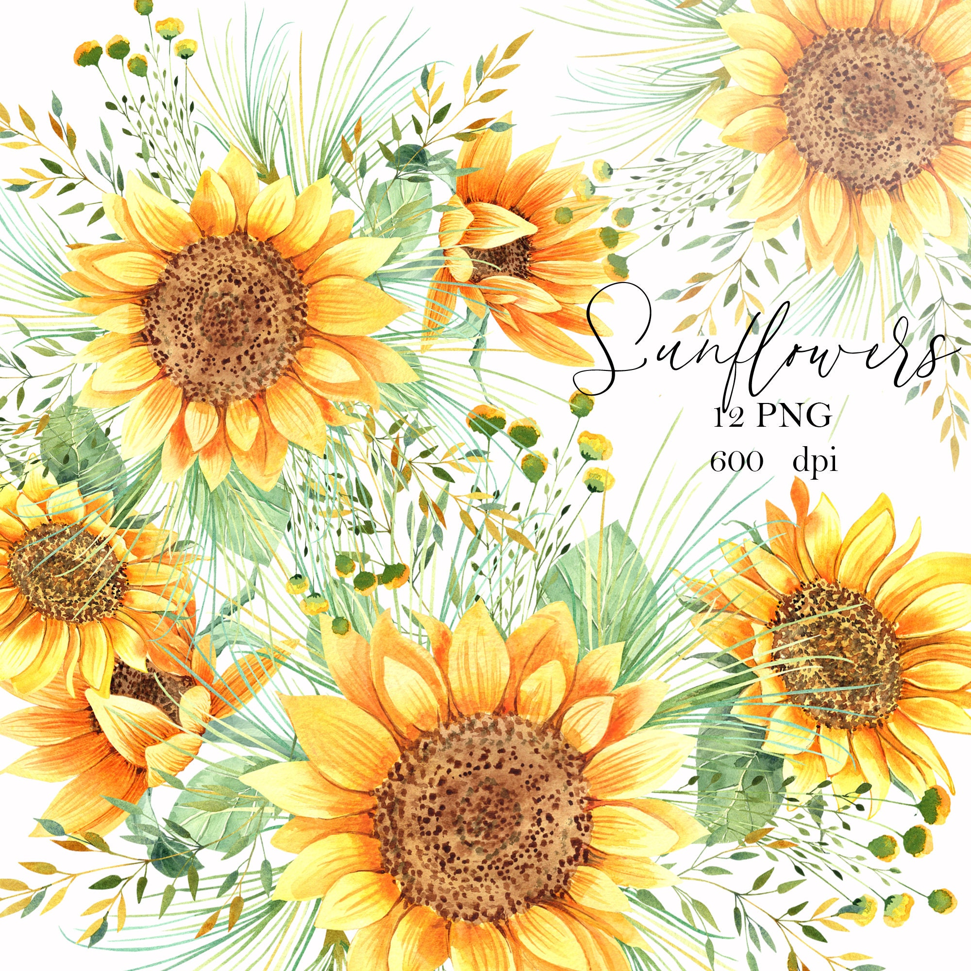 Sunflowers Watercolor Clipart Autumn Bouquet Composition - Etsy
