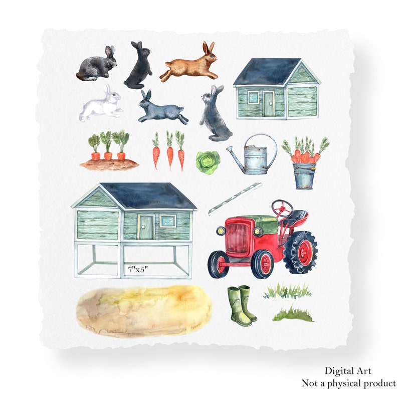 Watercolor Rabbit Farm Clipart, Cute Banny, Karrot, Tractor, Farm ...