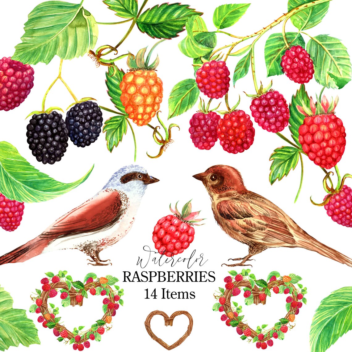 Watercolor Raspberry Clip Art, Cute Birds, Raspberry Heart Arrangement ...