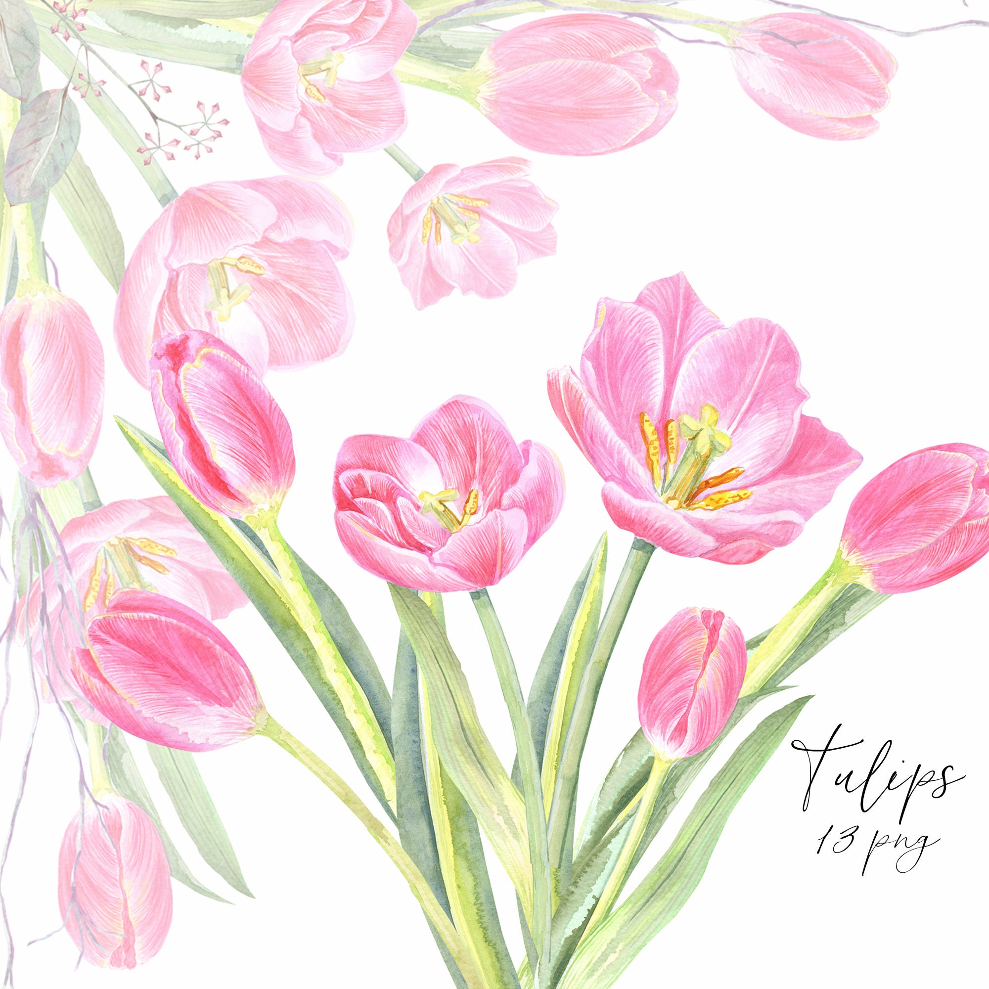 Watercolor Pink Tulips Floral Clipart, Easter, Mother's Day Card ...