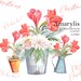 Watercolor Pink Tulips Floral Clipart, Easter, Mother's Day Card ...