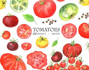 Watercolor Tomatoes Clipart - Cherry Tomatoes - Vegetables - Vegetarian ...