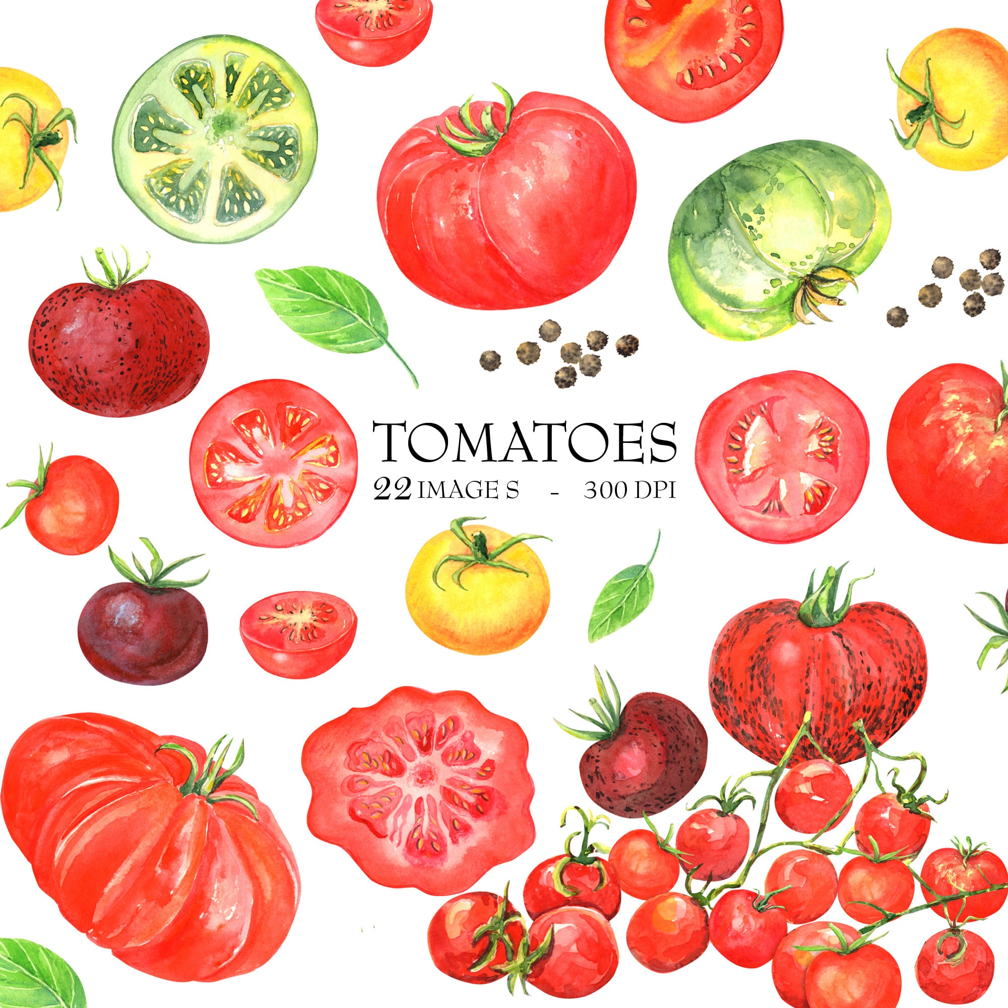 Cherry Tomatoes Clipart
