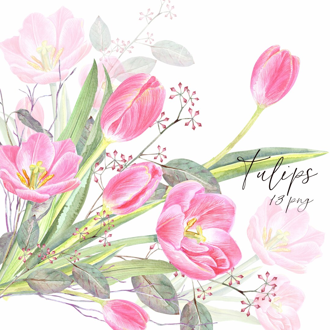 Watercolor Pink Tulips Floral Clipart, Easter, Mother's Day Card ...