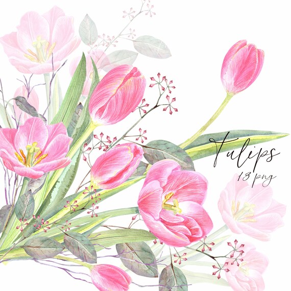 Watercolor Pink Tulips Floral Clipart Easter Mother's - Etsy