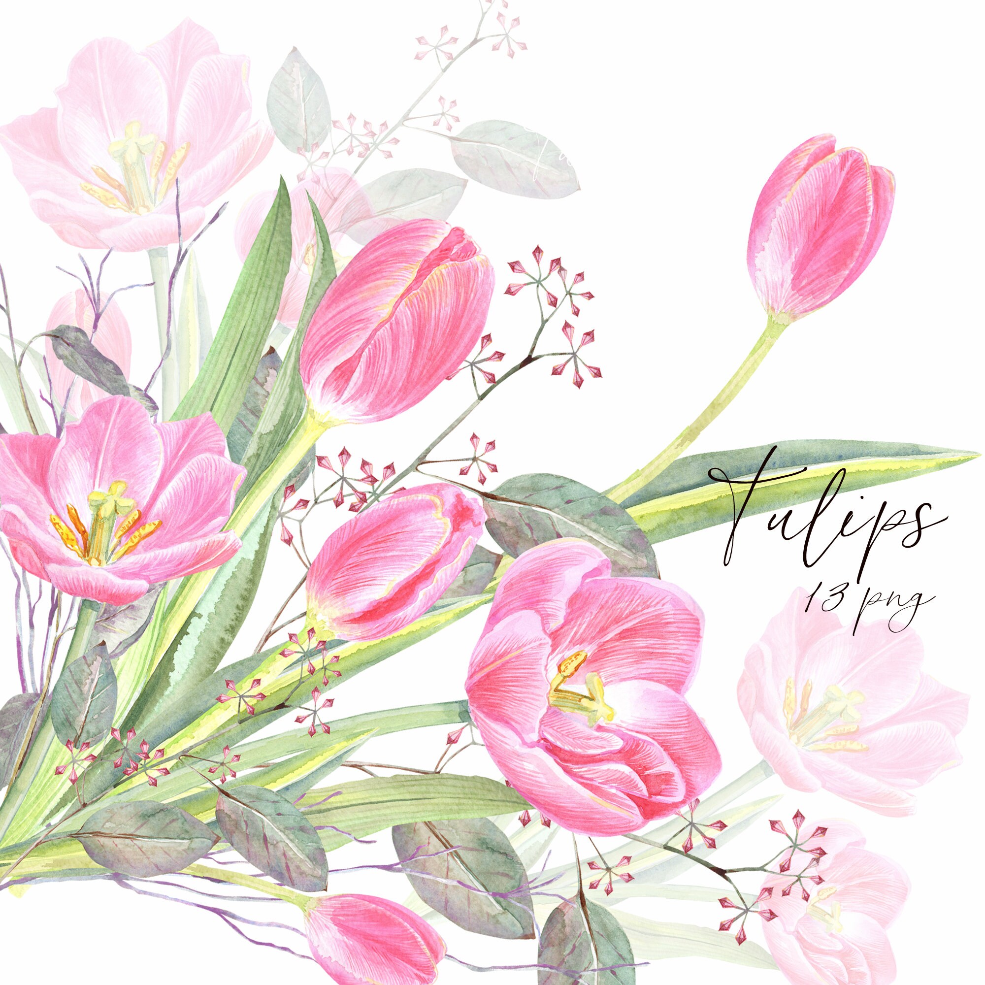 Watercolor Pink Tulips Floral Clipart, Easter, Mother's Day Card ...
