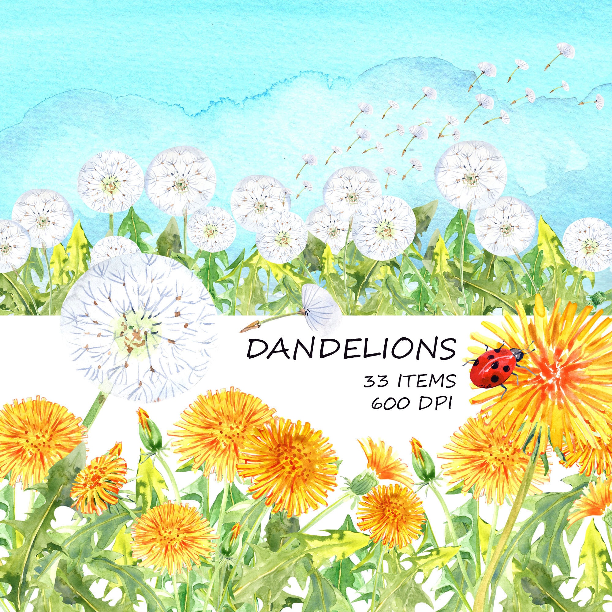 Watercolor Dandelions, Blowballs, Wild Yellow Flowers Summer Clipart ...
