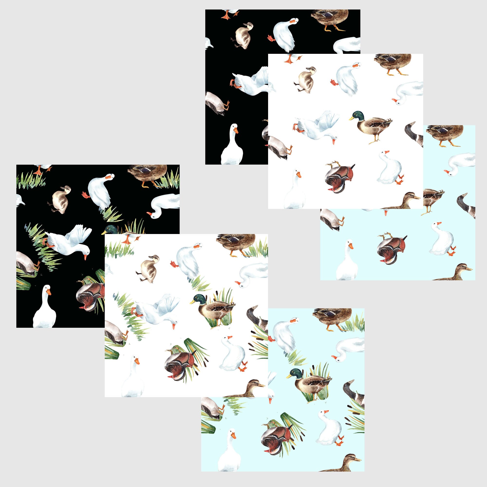 Watercolor Duck Digital Paper Pack, Farm Animals, Cute Duckling, Nest ...