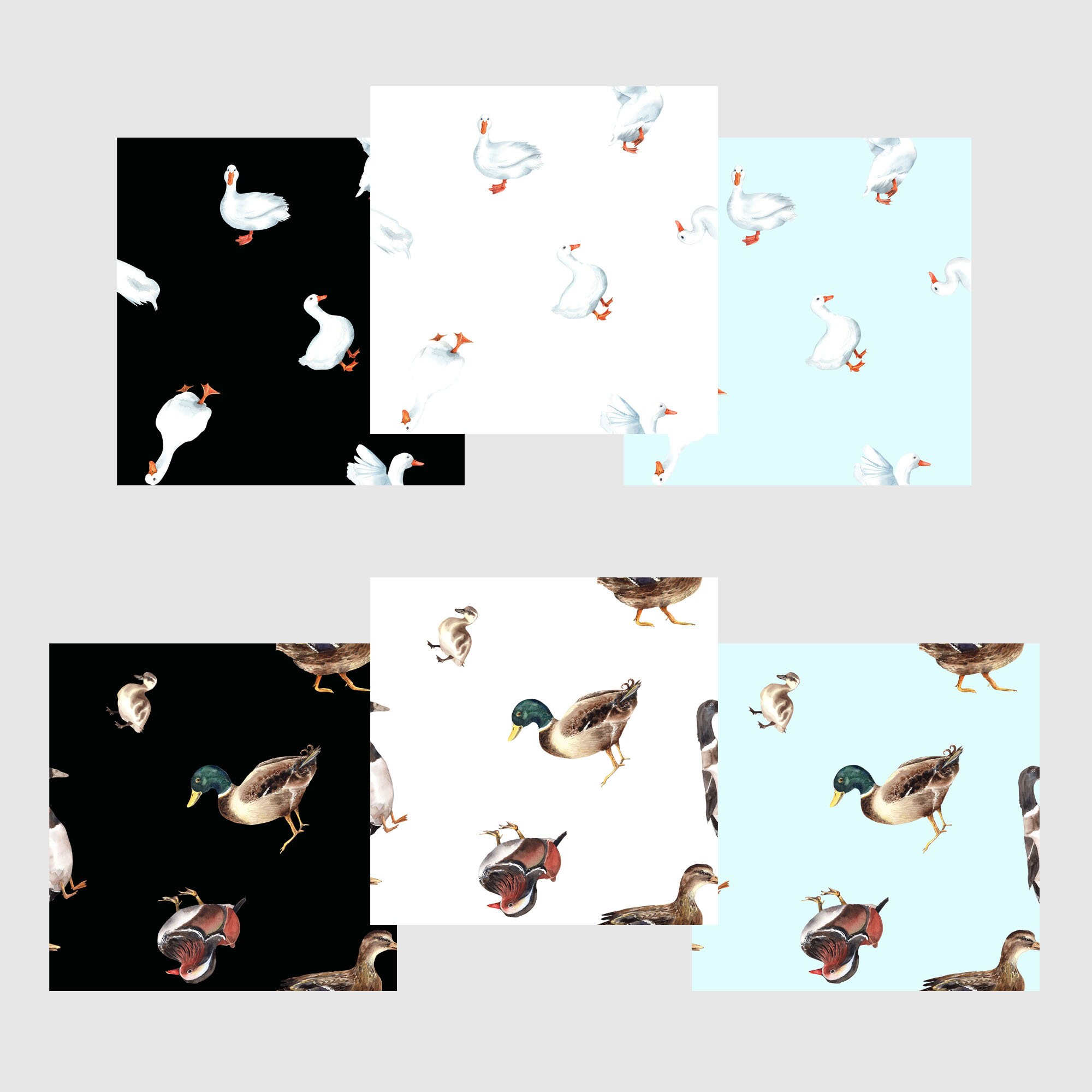 Watercolor Duck Digital Paper Pack, Farm Animals, Cute Duckling, Nest ...