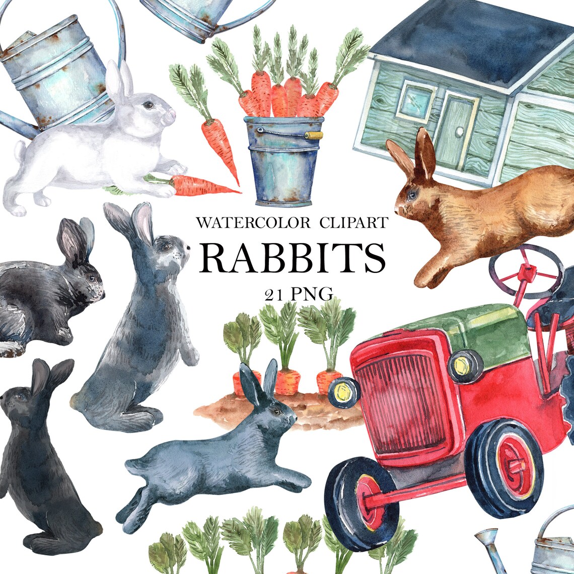 Watercolor Rabbit Farm Clipart, Cute Banny, Karrot, Tractor, Farm ...