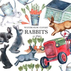 Watercolor Rabbit Farm Clipart Cute Banny Karrot Tractor - Etsy